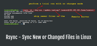 Enable Rsync For Users On CloudLinux | LinuxHub: Your Gateway To Reliable Web Hosting Solutions